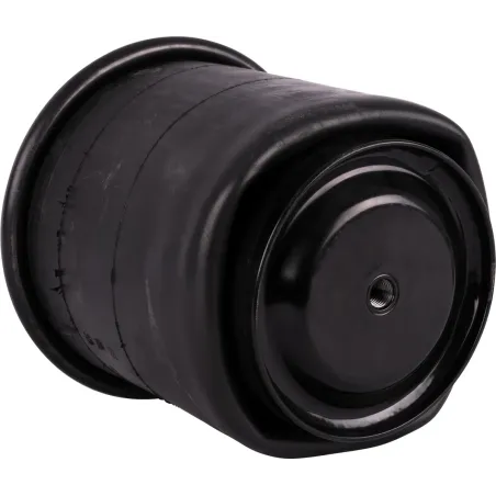 Muelle neumático, suspensión neumática - 2229002501, 3229002501