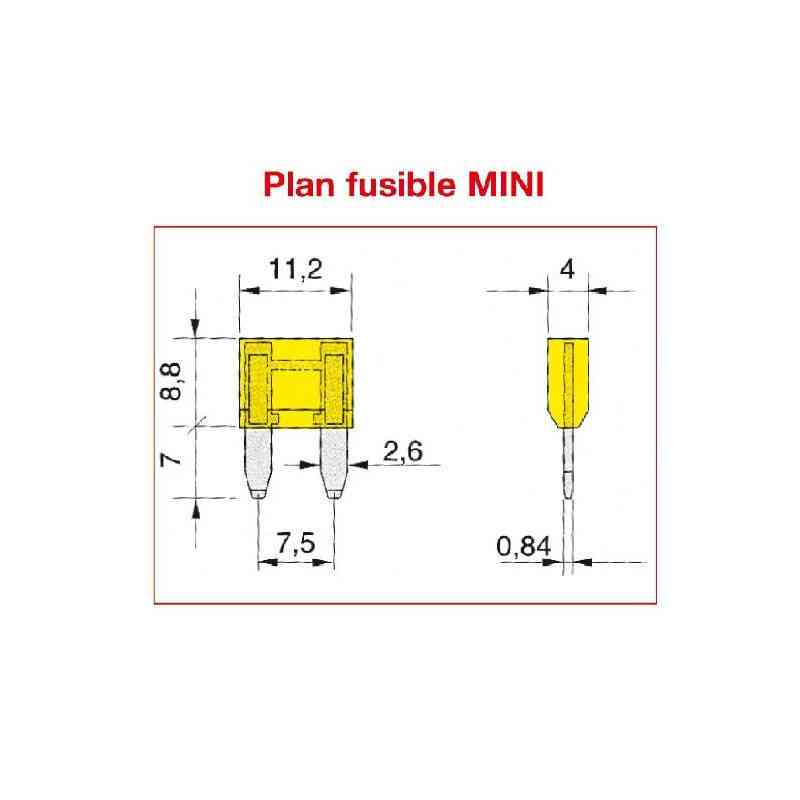 MINI SAE J 2077 - ISO 8820 20 AMPERE Sicherung