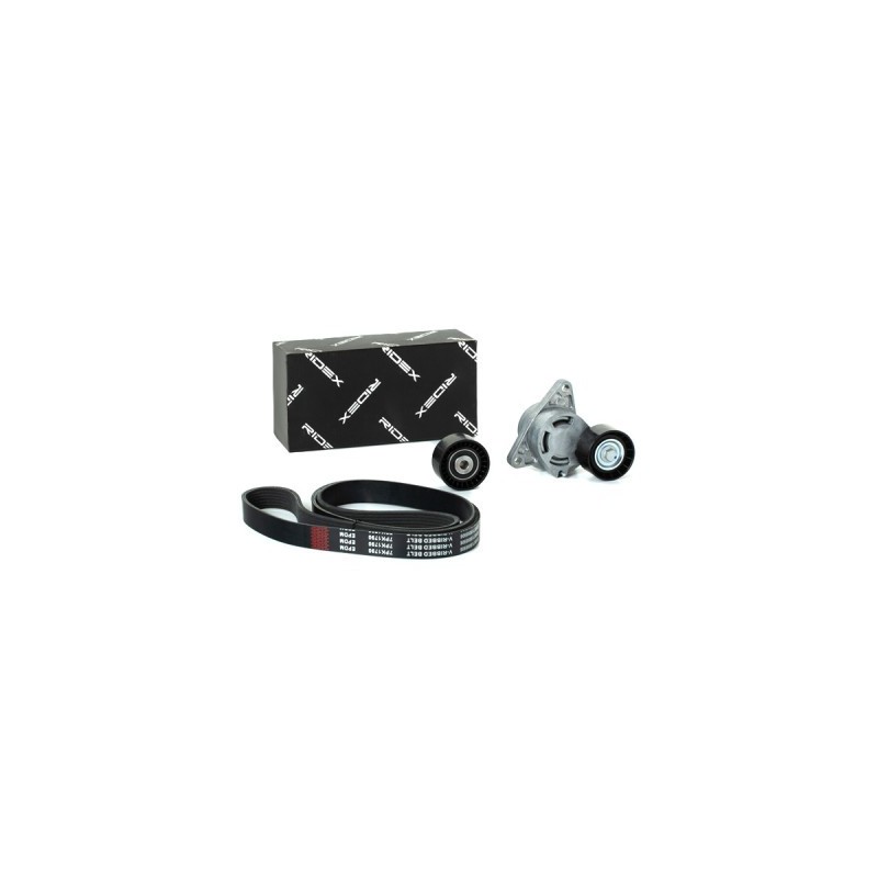 Jeu de courroies trapézoïdales à nervures DACIA, RENAULT 119230802R ...