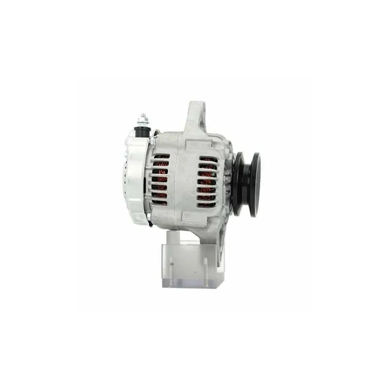 Lichtmaschine Kubota 50A Denso 1012113410 Cargo 114263 Lester 13633